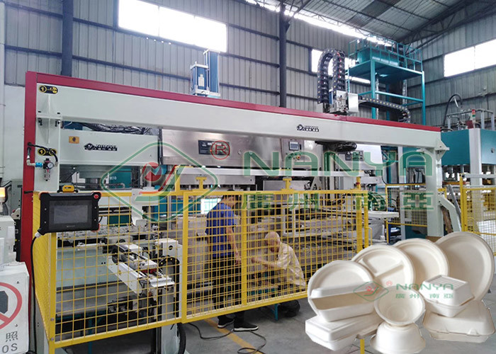 Semi Automatic Paper Pulp Molding Machine Biodegradable Disposable ...