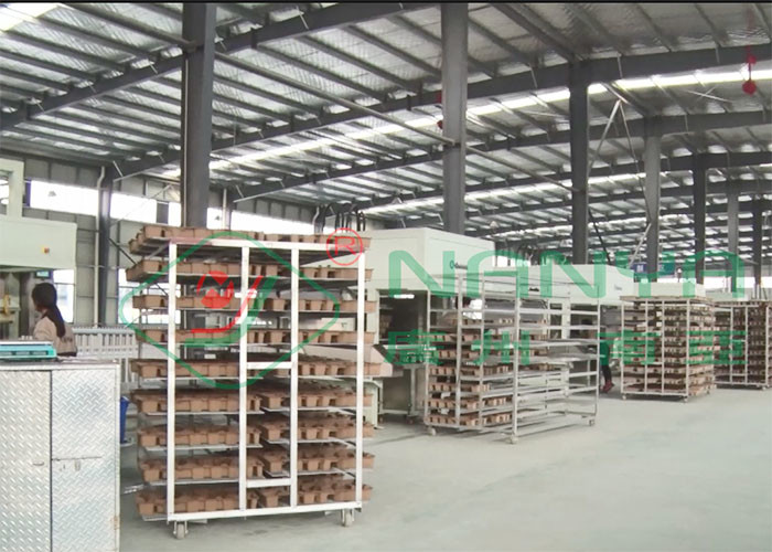 Pulp Molded Insert Shock Proof 450V Tray Molding Machine