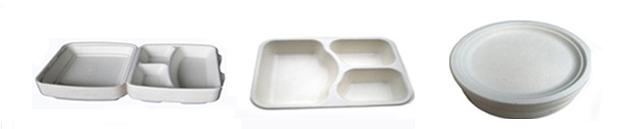 Disposable Semiautomatic Paper Pulp Molding Paper Plates Making Machine