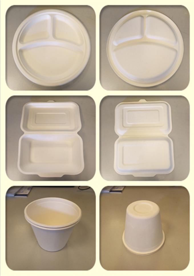 Pulp Thermoforming Tableware Production Line / Bgasse Fiber Plate ...