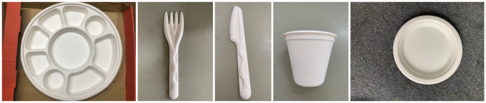 270kgs/h Virgin Pulp Plate Making Machine Pulp Tray Making Equipment